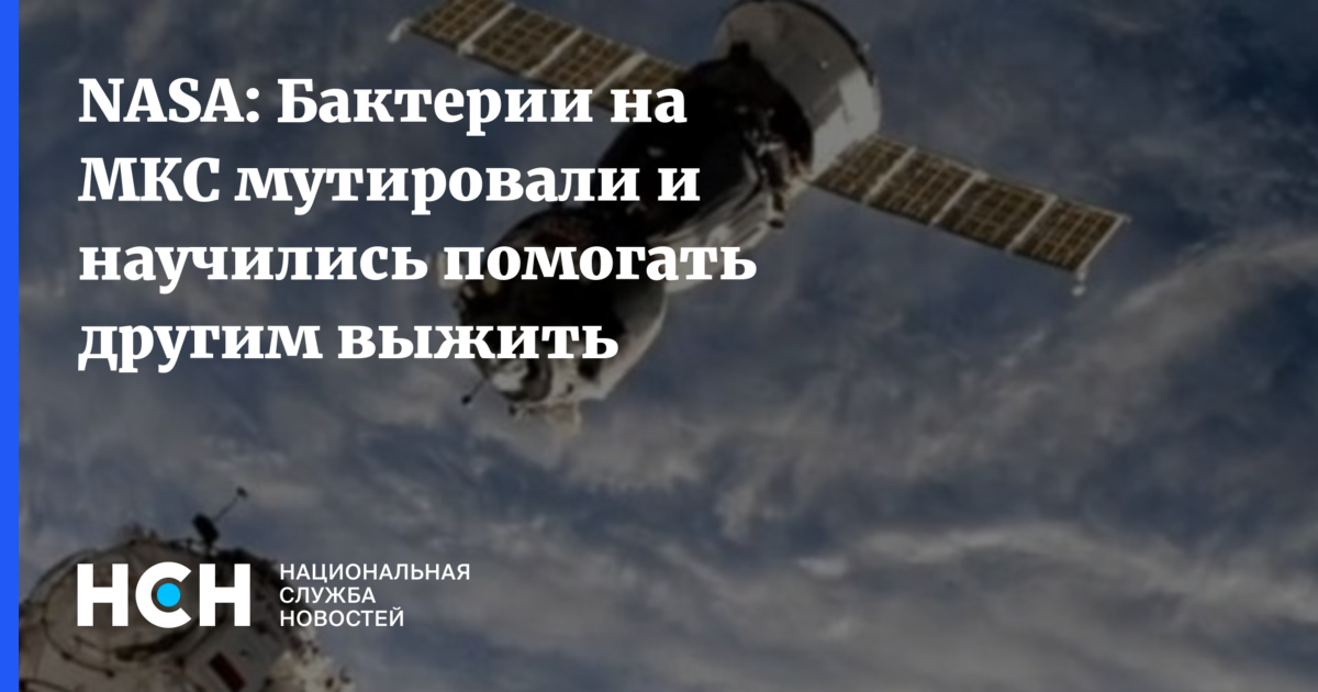 NASA: Бактерии на МКС мутировали и научились помогать другим выжить